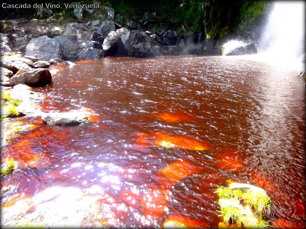 La Cascada del Vino, belleza natural en el estado Lara, Venezuela