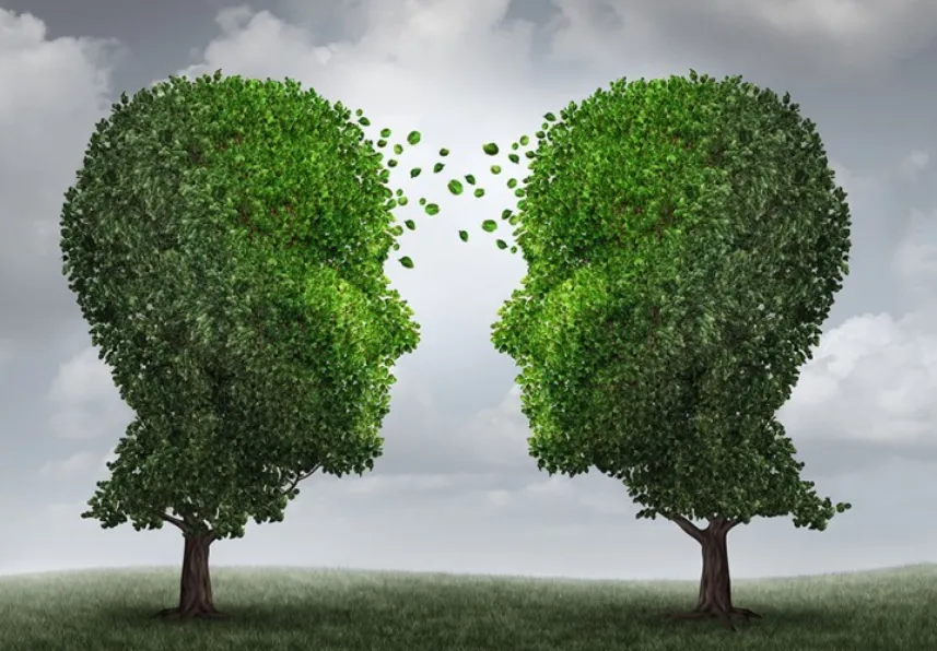 How to build a good mentality