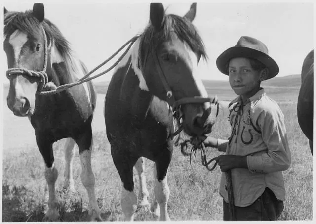 Short Story: 13 Horses (part 1)