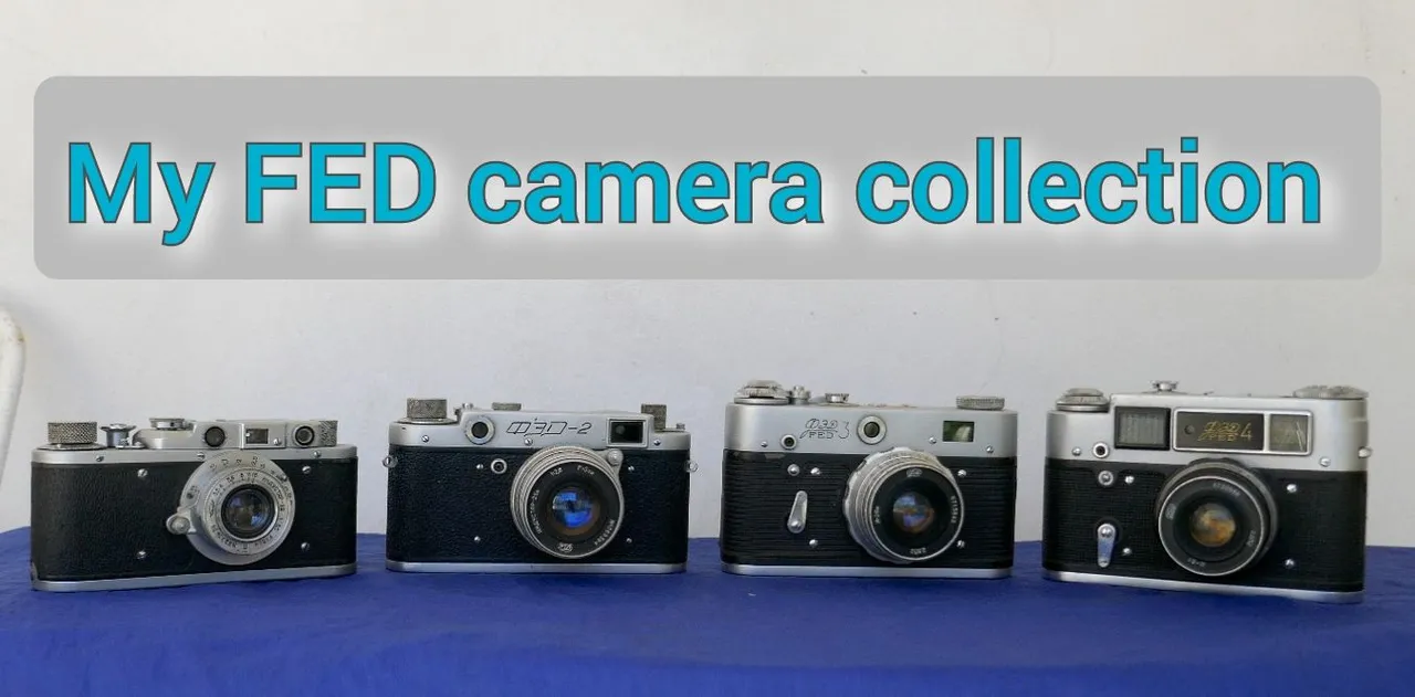 My FED camera collection