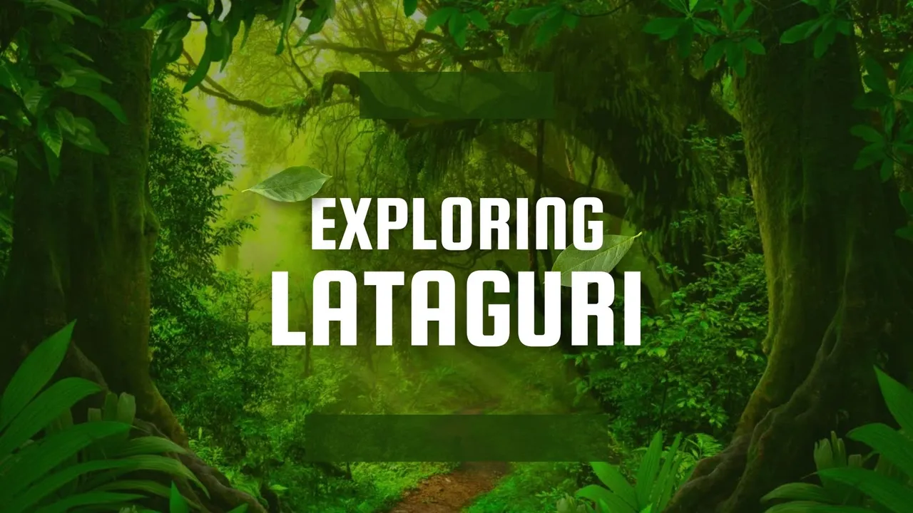 Lets Explore Lataguri