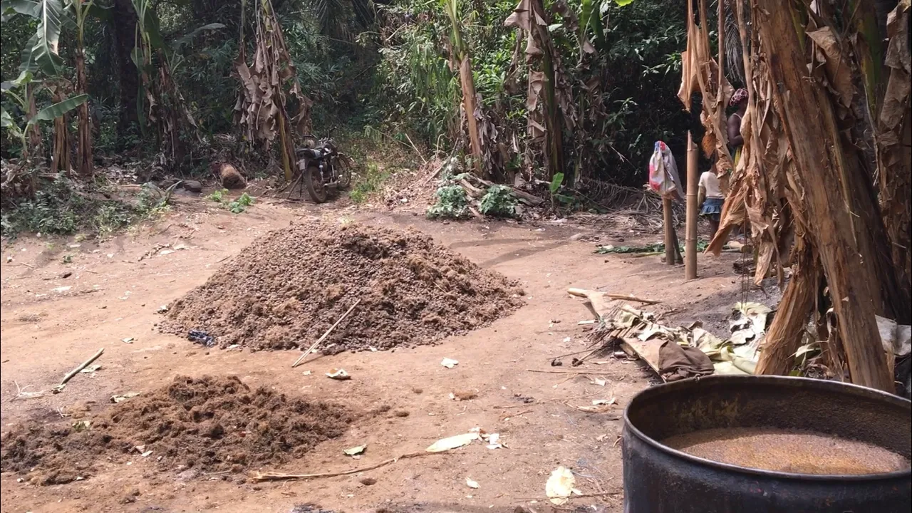 A visit to local palm oil production plant