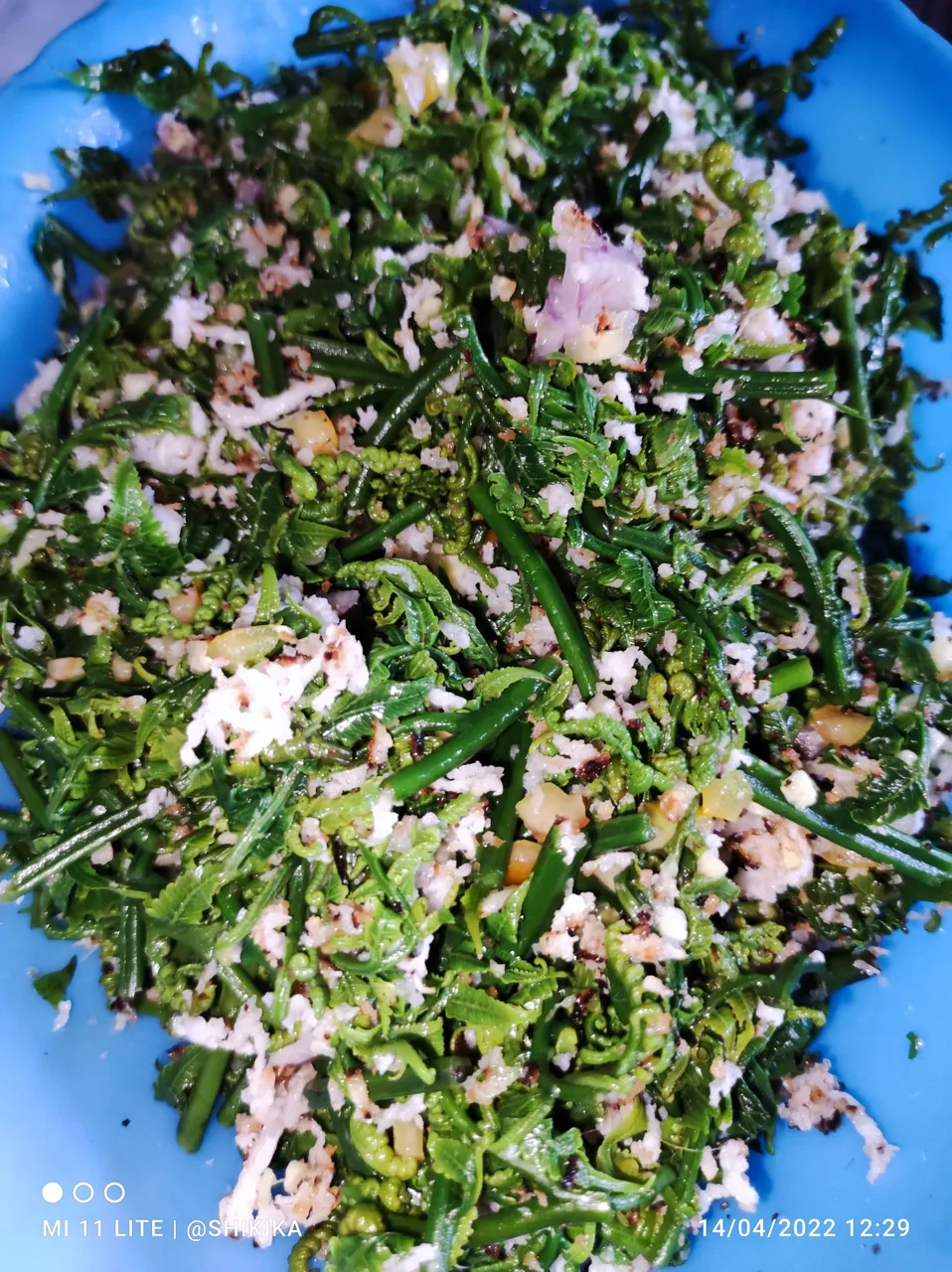 Magic Shikika Recipe: Paco Salad - The Delicious and Healthy Fern V...