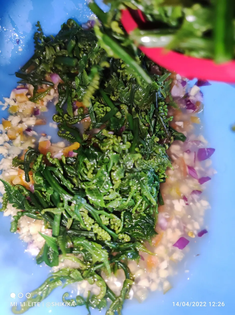 Magic Shikika Recipe: Paco Salad - The Delicious and Healthy Fern V...