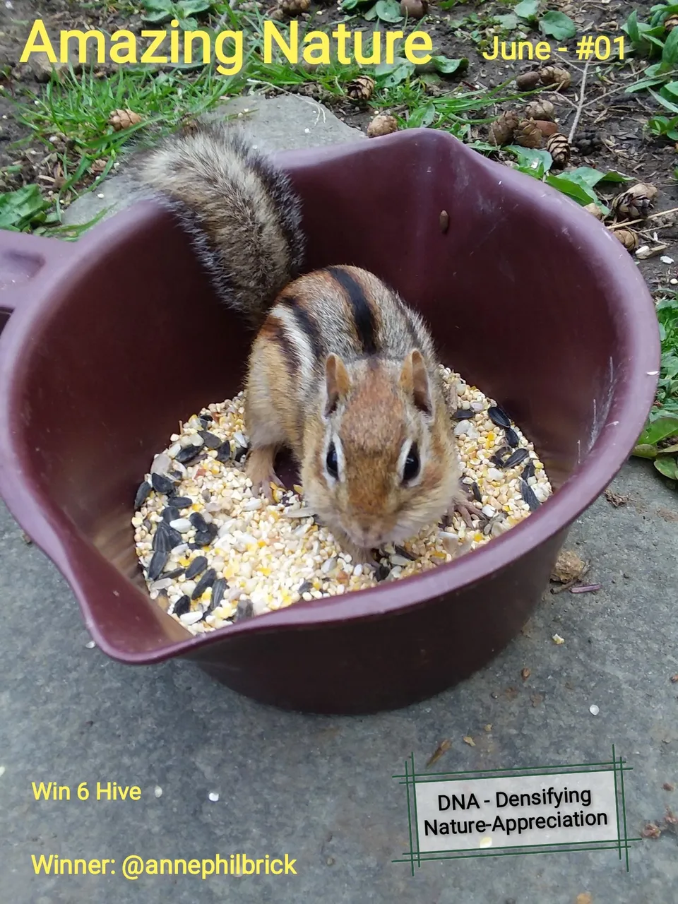 Amazing Nature Contest - June 2020 - #01 - CLOSED