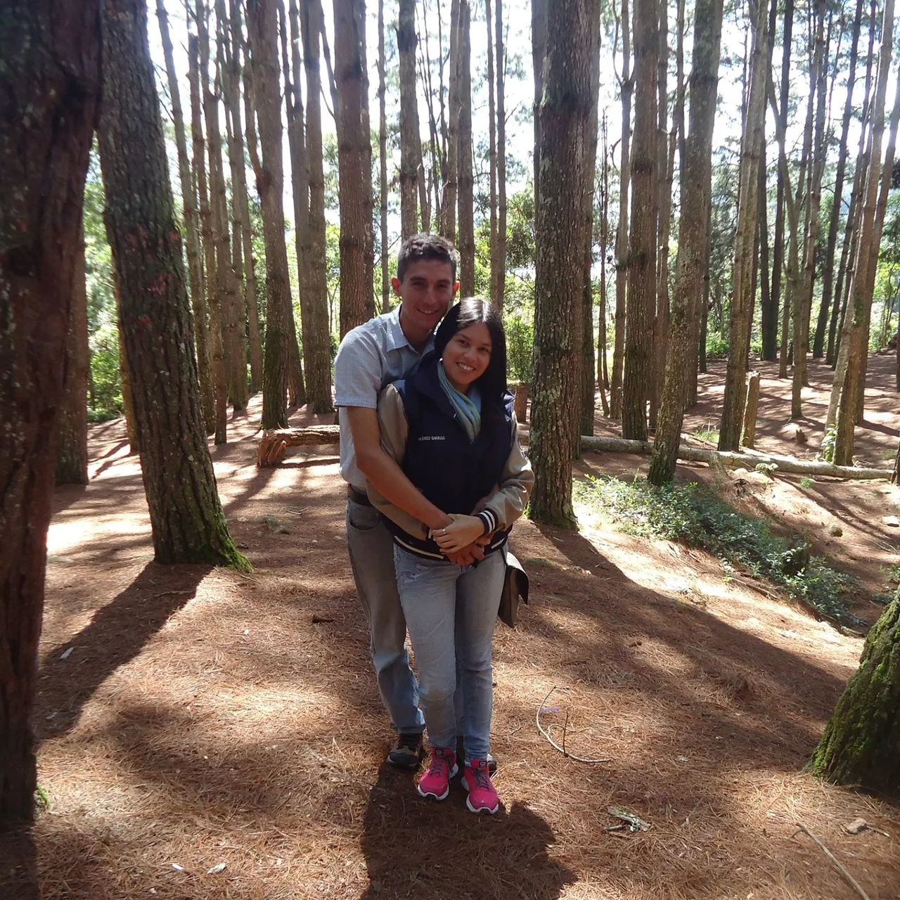 Exploring the wonders of the Bosque Pino in Merida/ Venezuela.