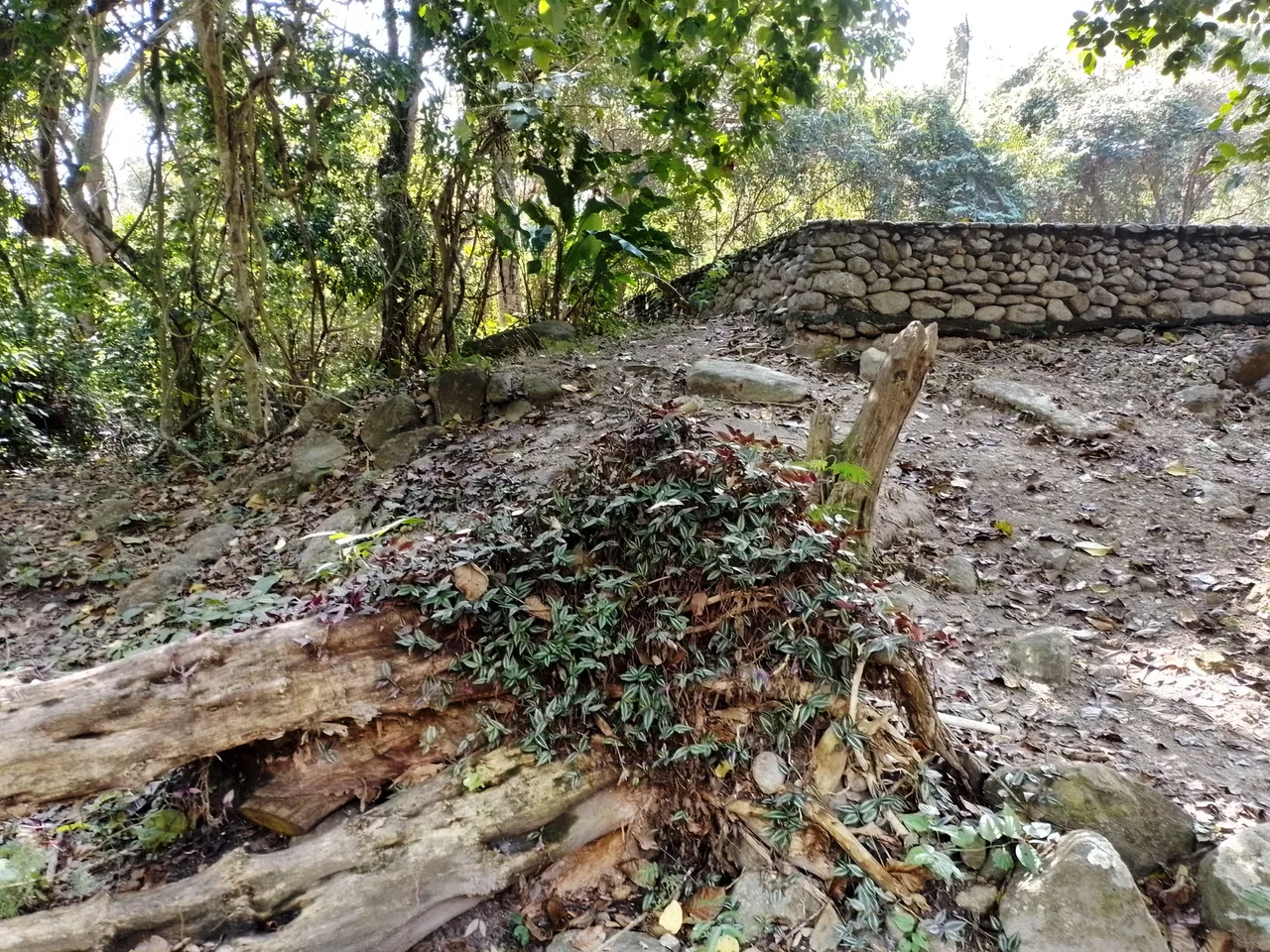 Visiting the "Leonor Bernabo" Park after many years [ENG/SPA]