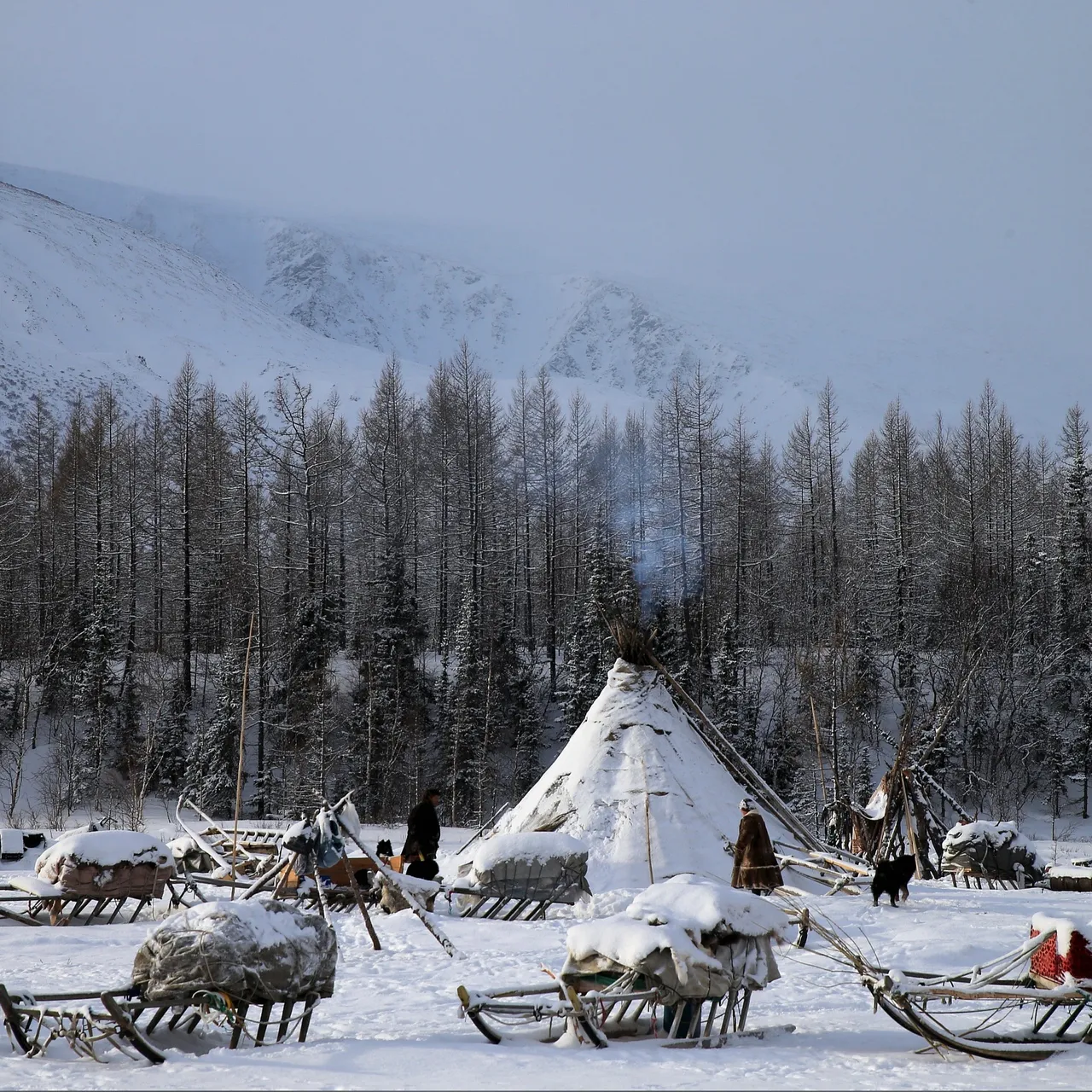 Life of The Sami Tribe