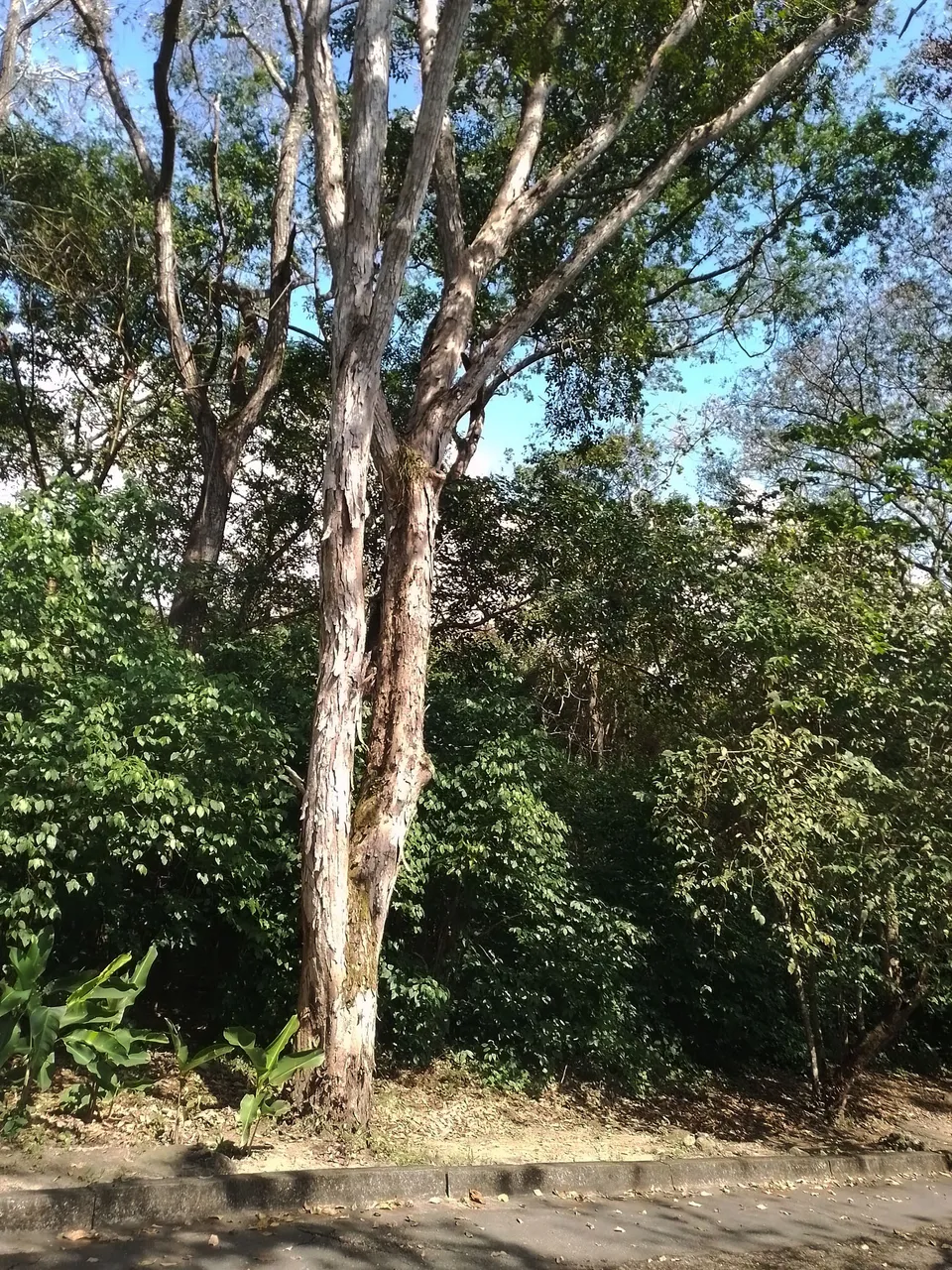 Visiting the "Leonor Bernabo" Park after many years [ENG/SPA]