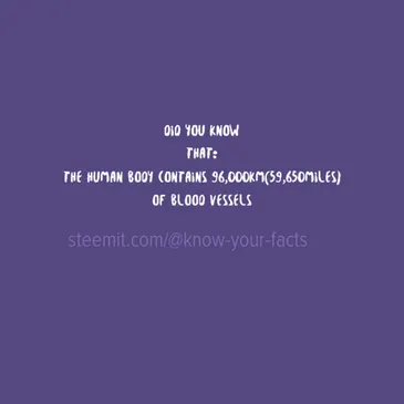 Know Your Facts #2017