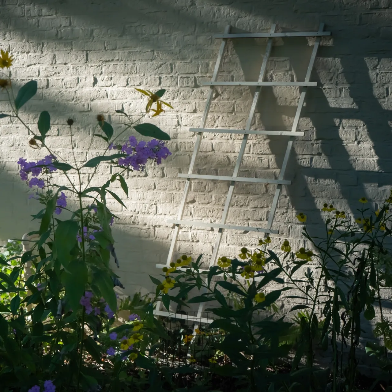 Shadow Hunters SMASh Contest-Round 341