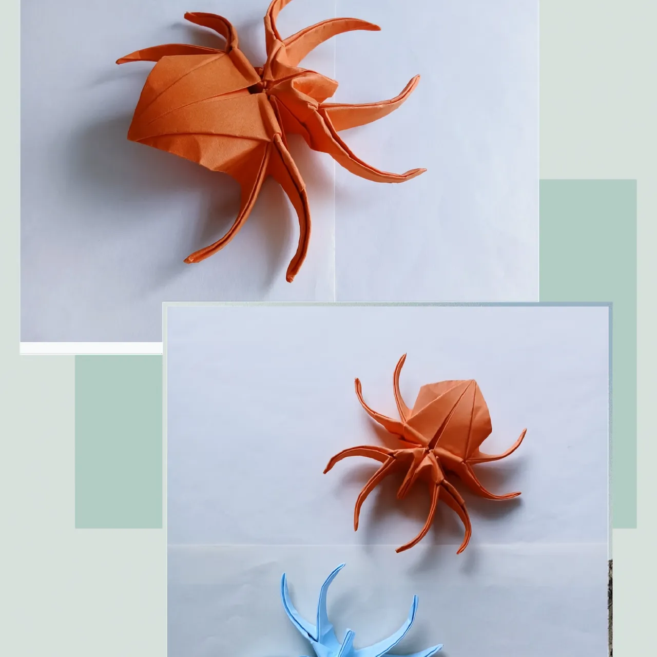Origami Spiders, How to Fold them