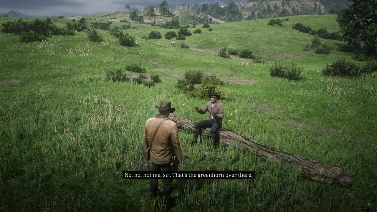 RDR 2: Money Lending and Other Sins.