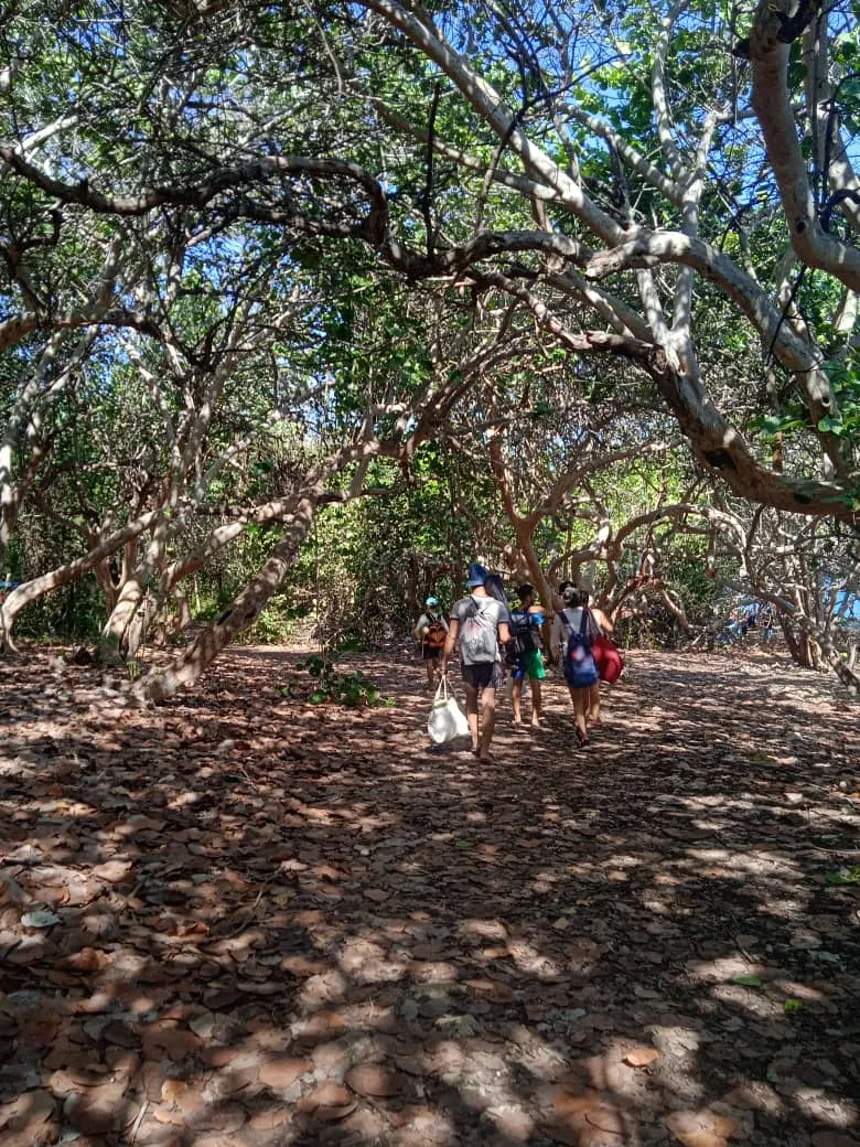 Vamos de visita a Canasí | Let's go visit Canasí