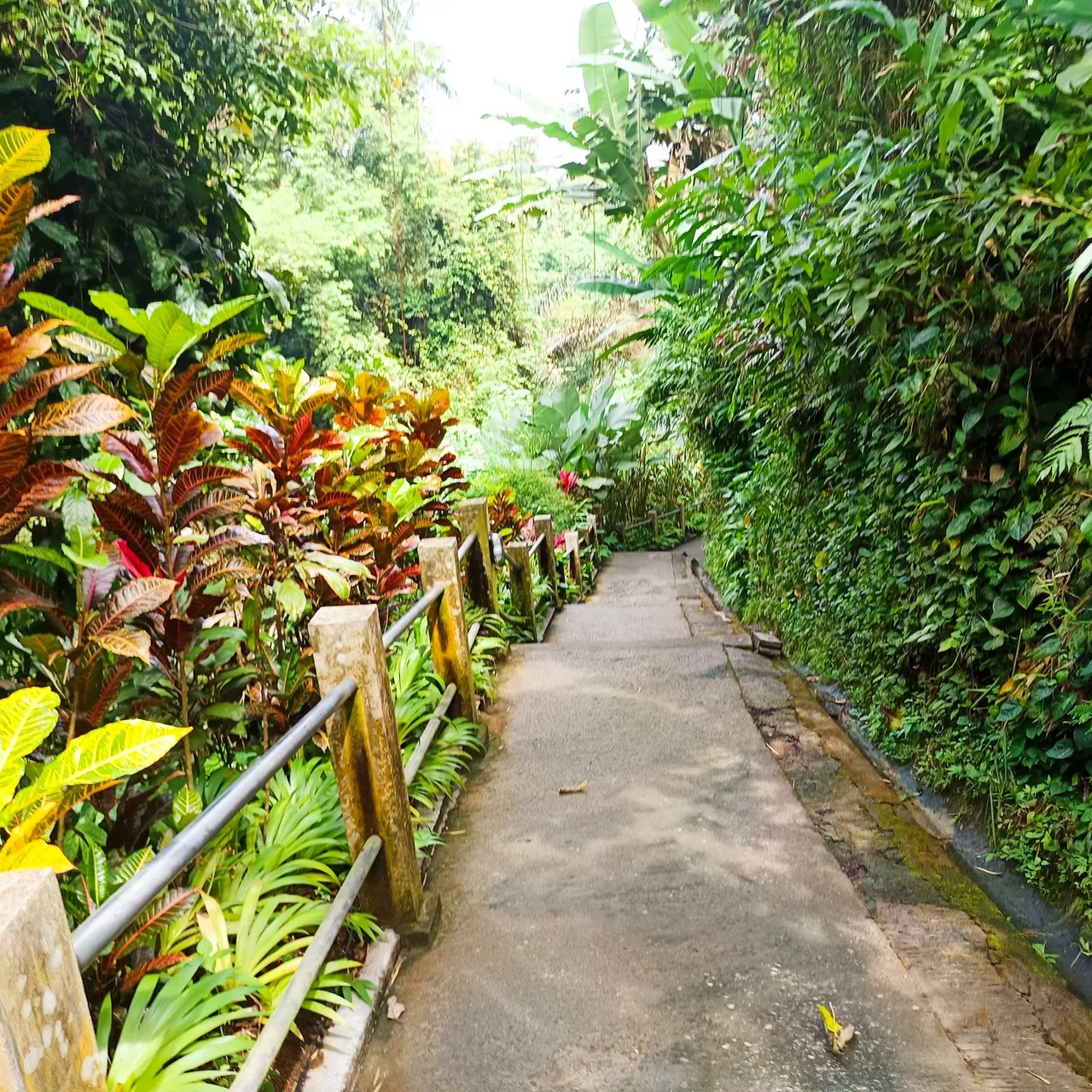 Beautiful Journey of Tibu Mana Waterfall