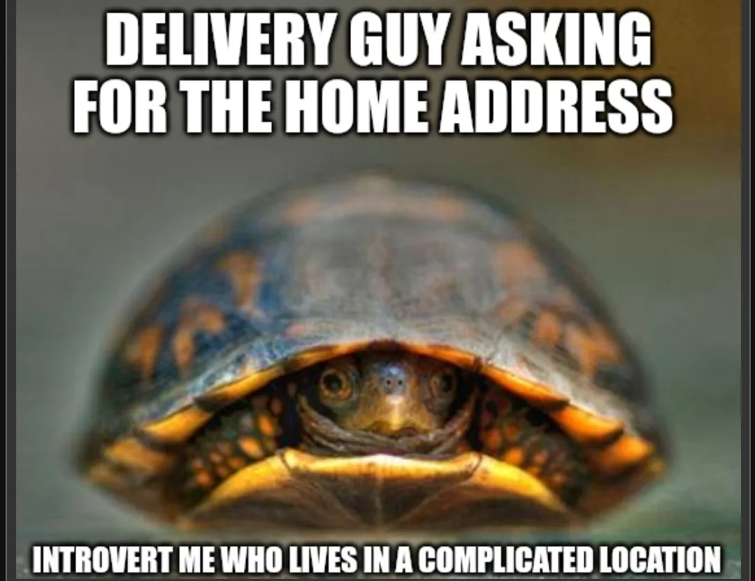 Delivery dilemmas/ meme edition