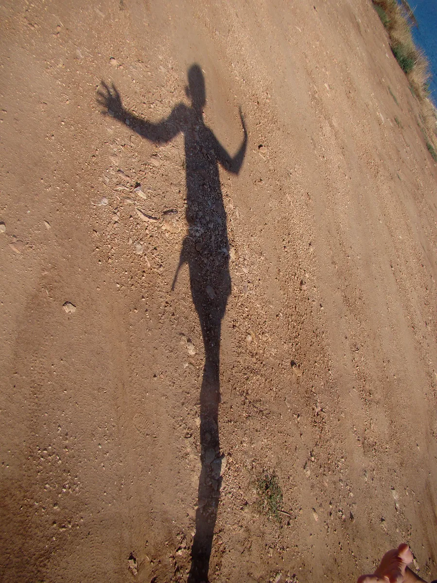 A LOOK AT THE FRIENDLY SHADOW