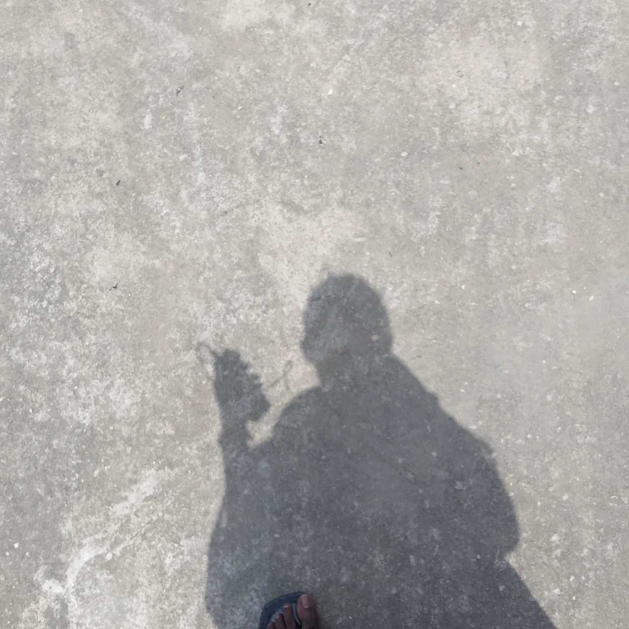 A thrill of shadow hunting: A Saturday adventure.