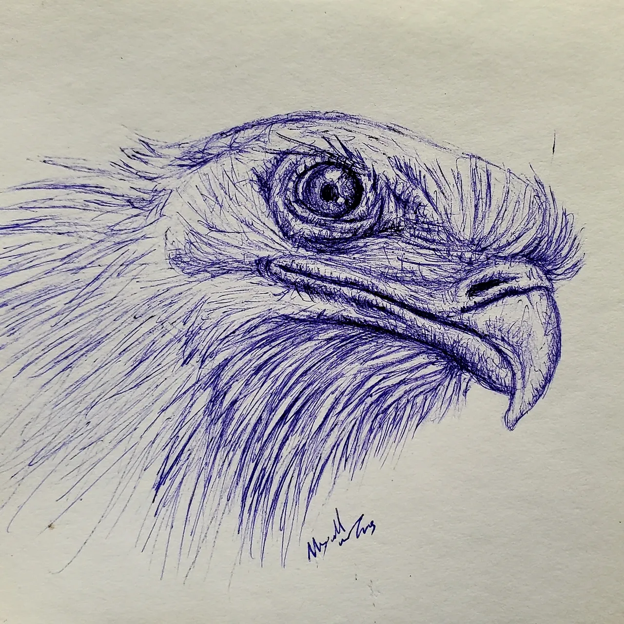 The Bird - Pen Drawing