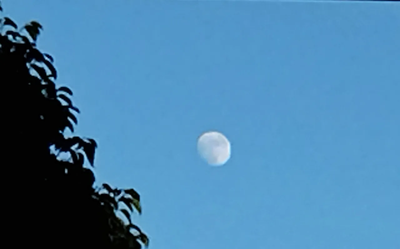 Why Do You See The Moon During The Day?