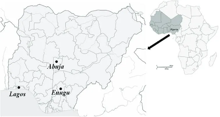 Pictures From My Trip For You to Compare The Nigerian Countryside w...