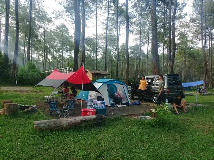 BEAUTIFUL NATURAL CAMP IN NATURE