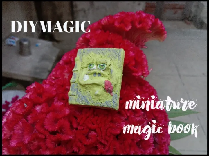 A magical book 📖 | DIYMAGIC