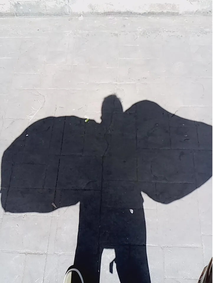 Entry for the Shadow Contest/SMASh SHADOW LIKE AN ANGEL