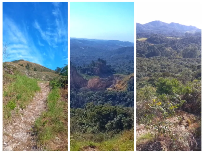 Climbing Morro Do Cal, Campo Largo, Brasil
