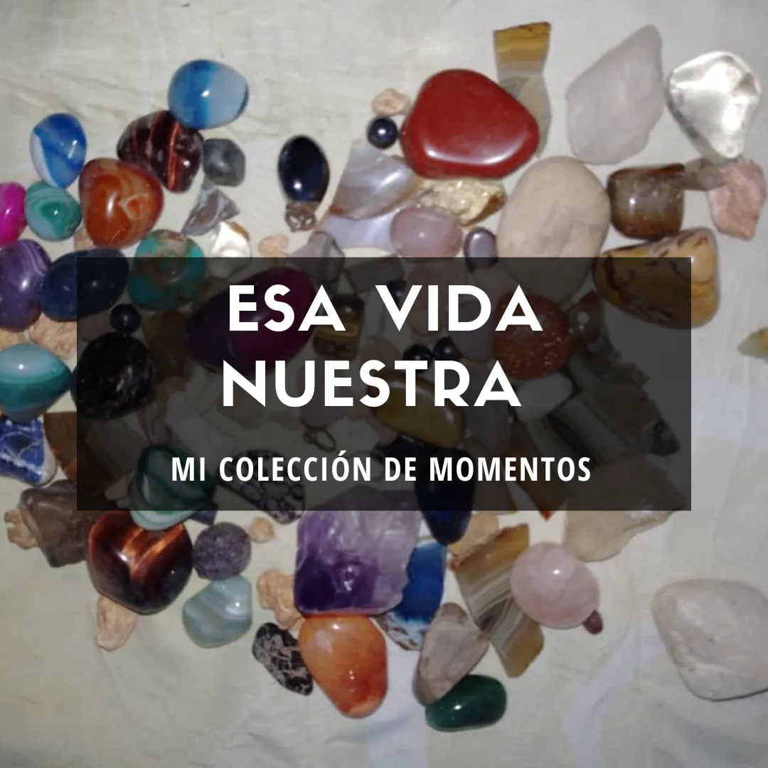 Esa Vida Nuestra/Mi Colección de Momentos//That Life of Ours/My Col...