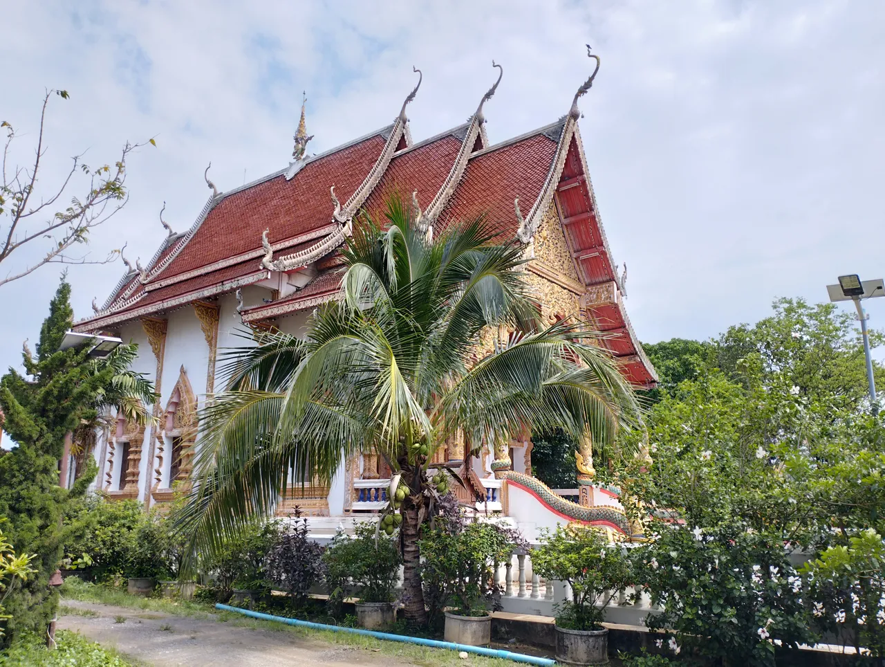 Enjoy at Wat Ban Ai and Wat Phatu Muang Pha Hong, Chai Prakan Distr...