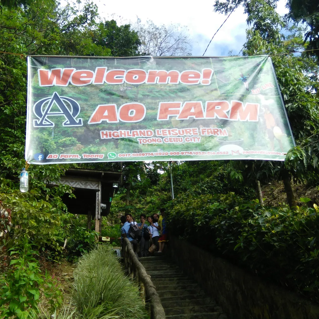 AO FARM Part 1