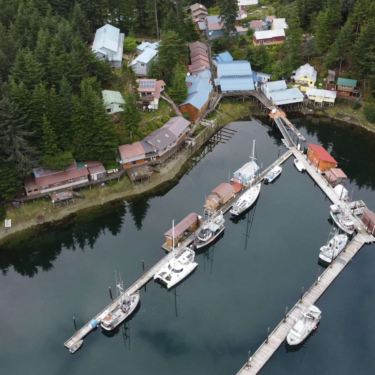 Winter is Coming | Elfin Cove