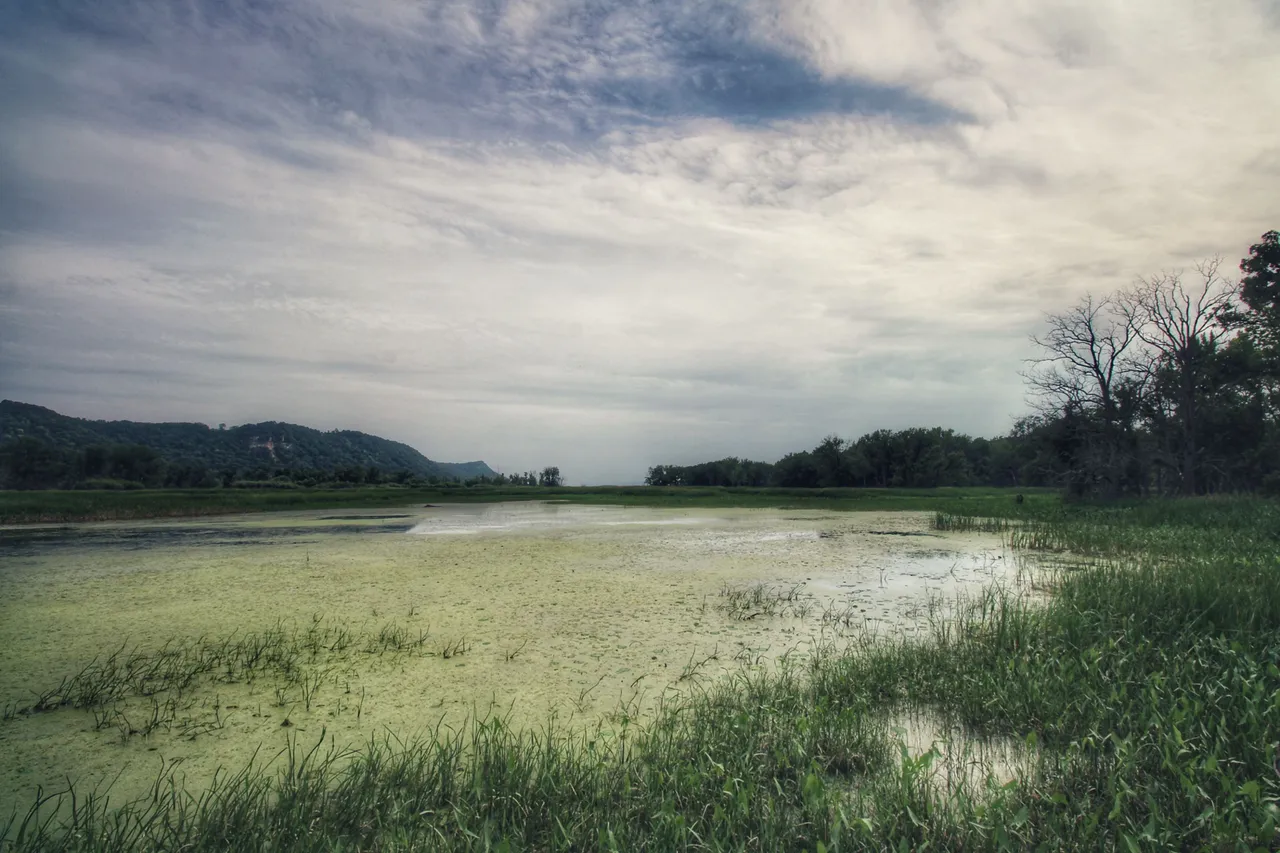 Beer Saturday : Destihl's Tour Bus