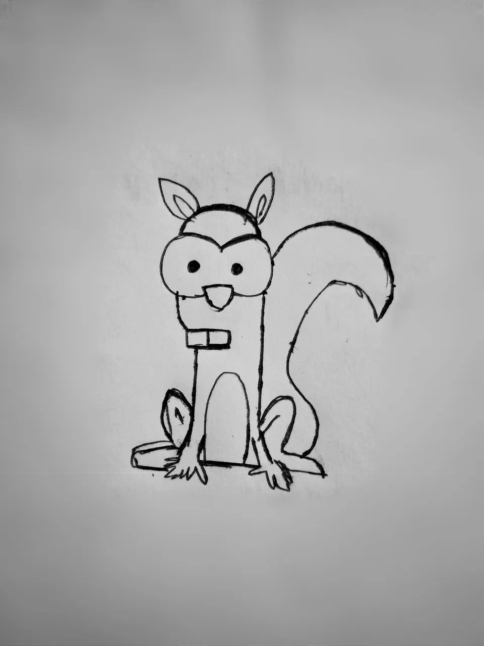 My funny Squirrel Drawing