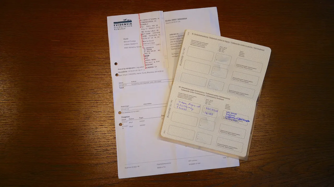 NORWEGEN MIT HUND: WICHTIGE INFORMATIONEN ZUR EINREISE