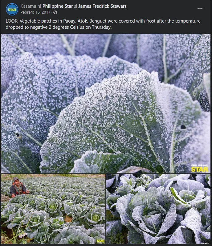 Do You Know What is the Coldest Place in the Philippines?