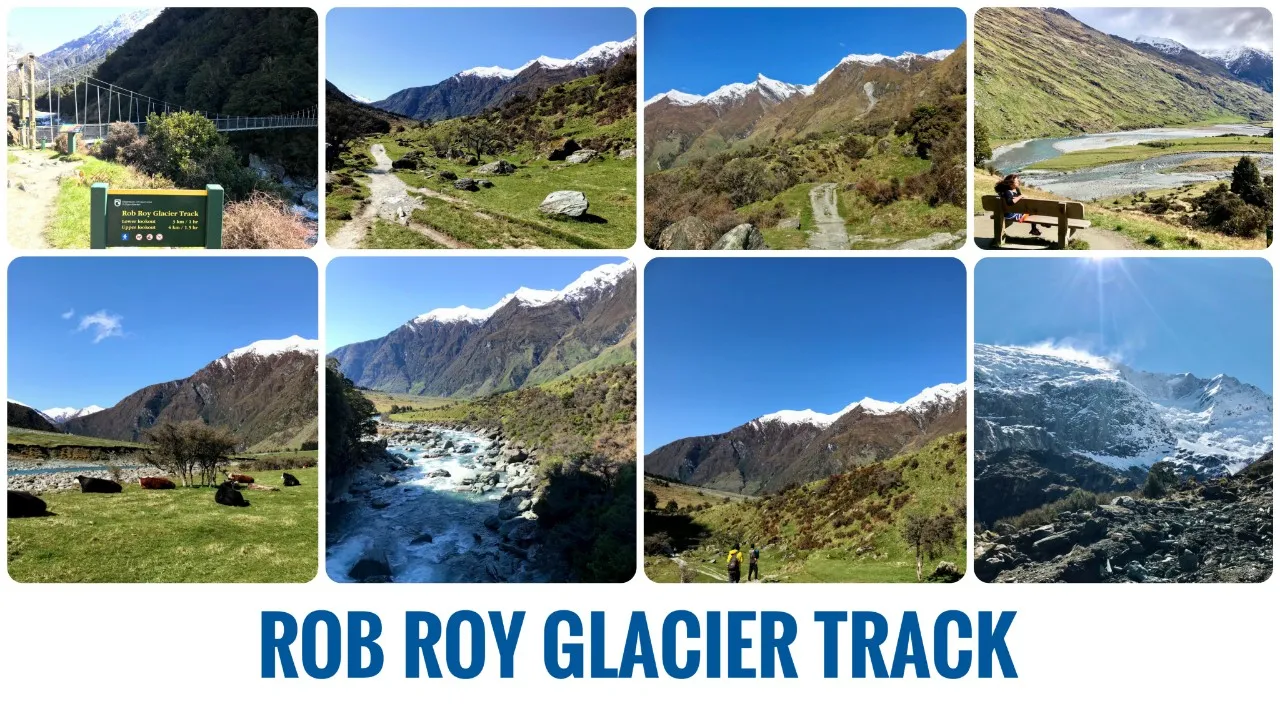 Incredible Rob Roy Glacier Track- New Zealand