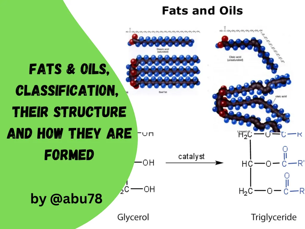 Fats and oils, classification of fats and oils, the structure and h...