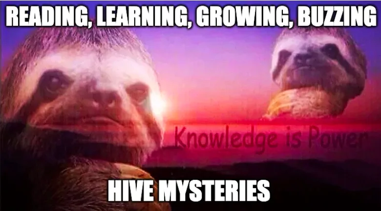 Layers 2 tokens Stake em? Sell em? or Pool em?