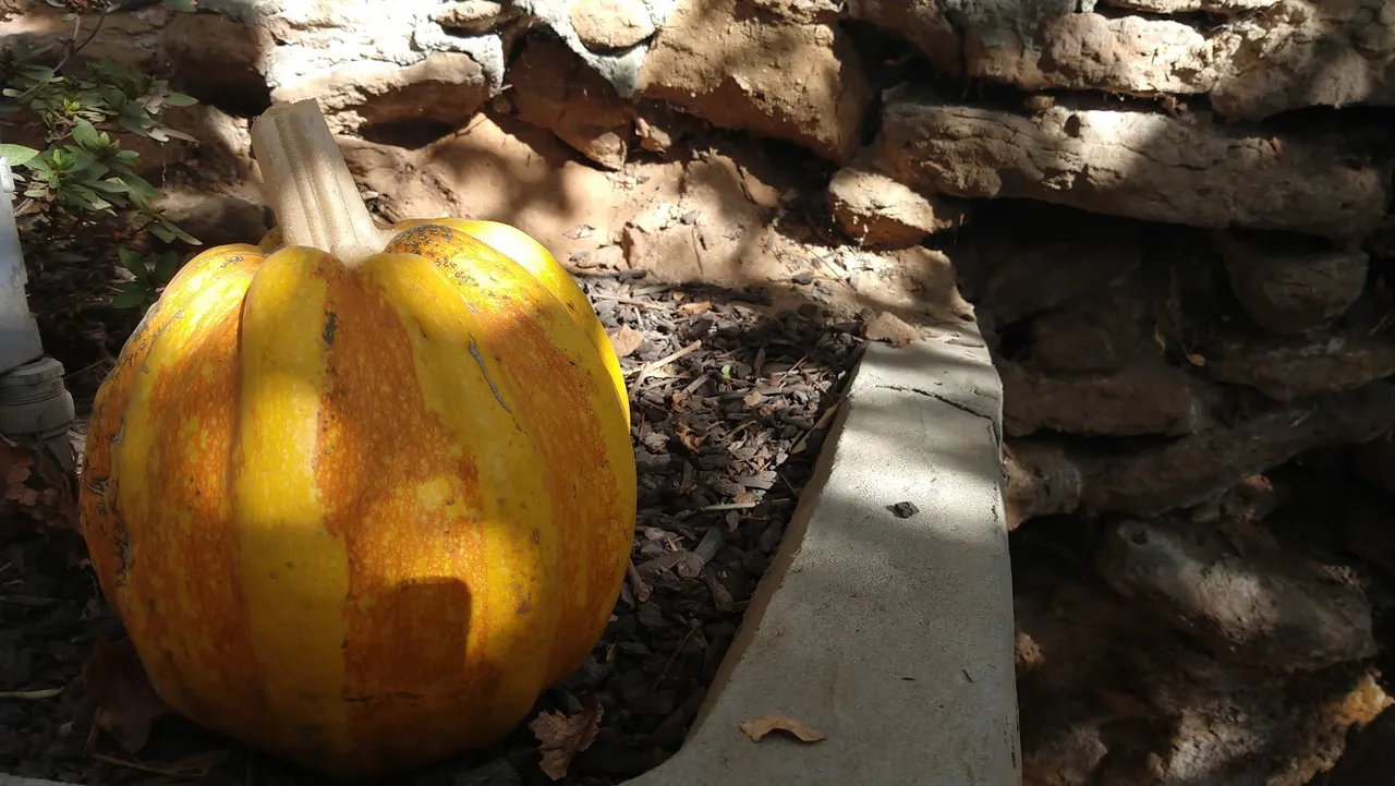 You're my honey bunch, sugar plum, pumpy-umpy-umpkin!!!