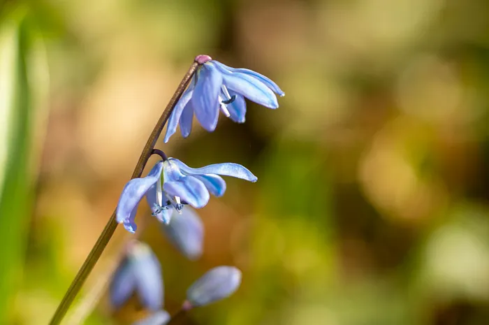 The Science of Capturing Light: A Comprehensive Guide to Understand...