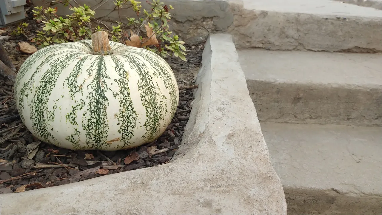 You're my honey bunch, sugar plum, pumpy-umpy-umpkin!!!