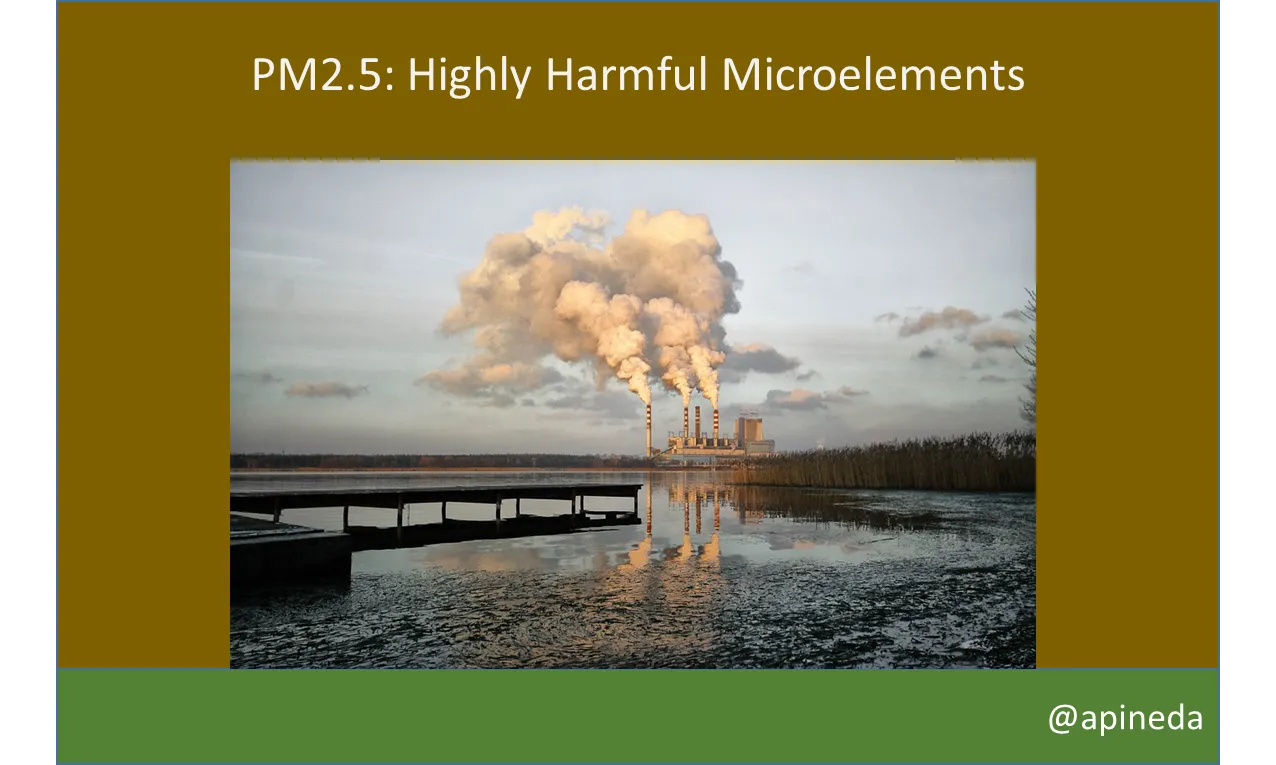 PM2.5: Highly Harmful Microelement
