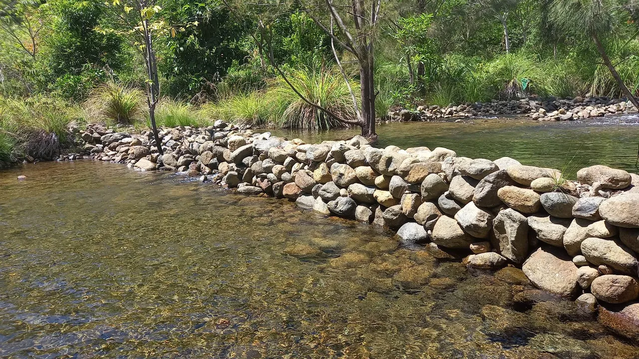 Experience the Cool Waters of Tinikaran Pygmy Springs