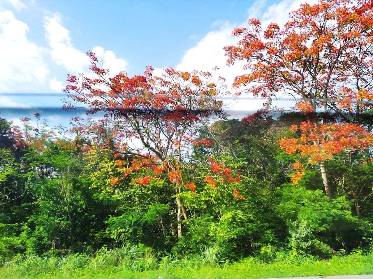 Lasso: Un concierto inolvidable | Lasso: An unforgettable concert