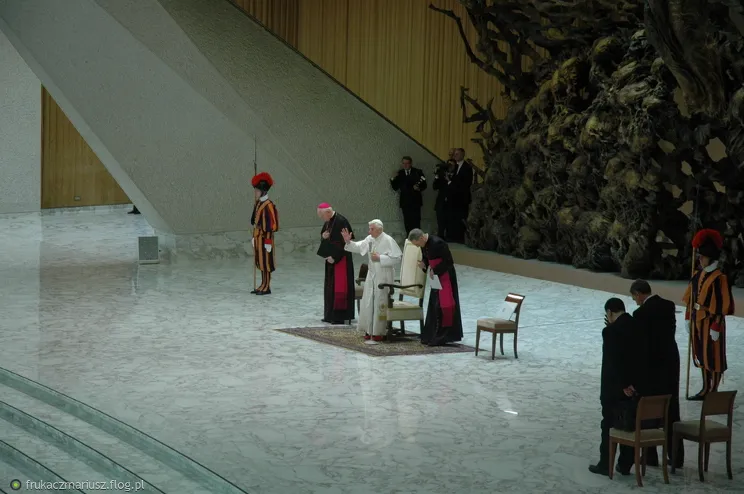 Pope Paul VI Audience Hall: Snake Bite in Vatican City + St. Pete...