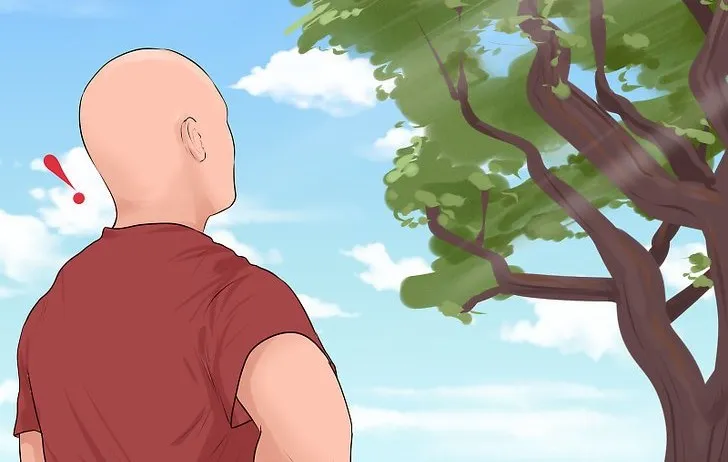 Argue With a Tree to Be a Better Writer