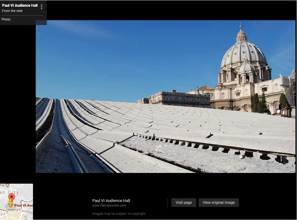 Pope Paul VI Audience Hall: Snake Bite in Vatican City + St. Pete...