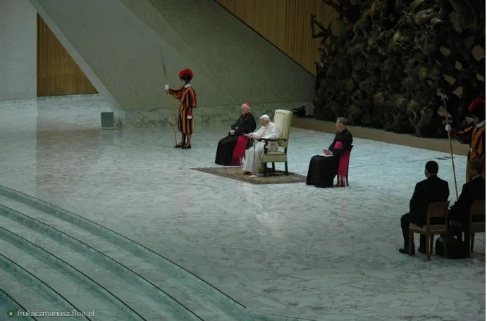 Pope Paul VI Audience Hall: Snake Bite in Vatican City + St. Pete...